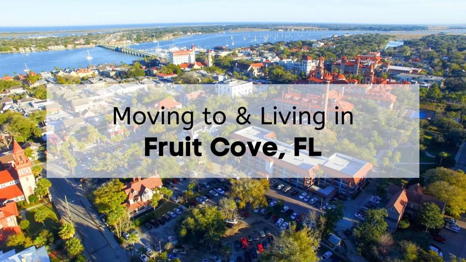 Moving to Fruit Cove: A Skinner Moving Guide